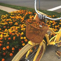 Фотографии - AVATAN PLUS